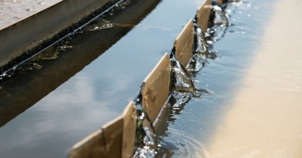 Course Microscopic Analysis of Activated Sludge | Witteveen+Bos