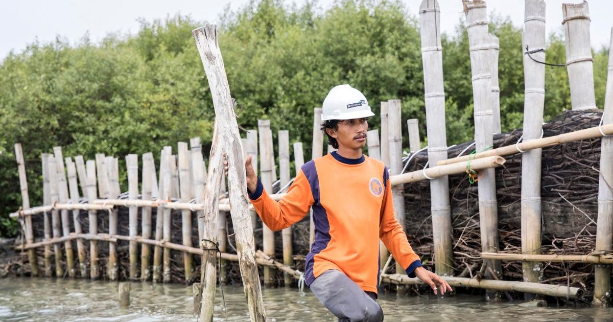 Indonesia | Witteveen+Bos