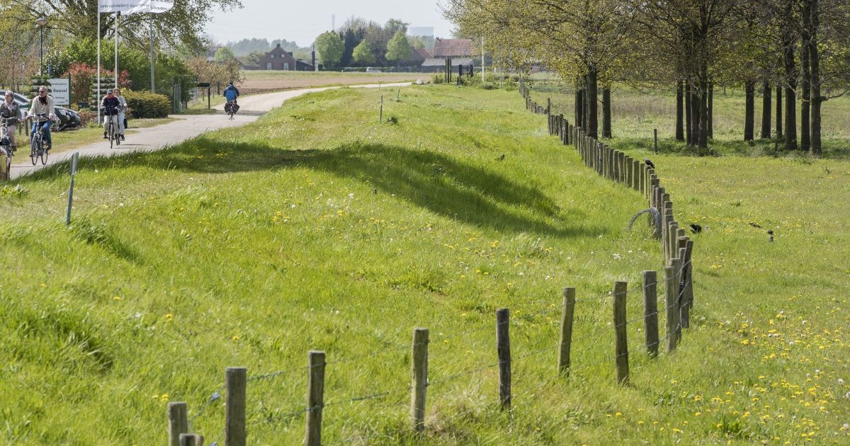 witteveen-bos-helpt-bij-nieuwe-stap-naar-sterkere-dijken-in-heel-en ...