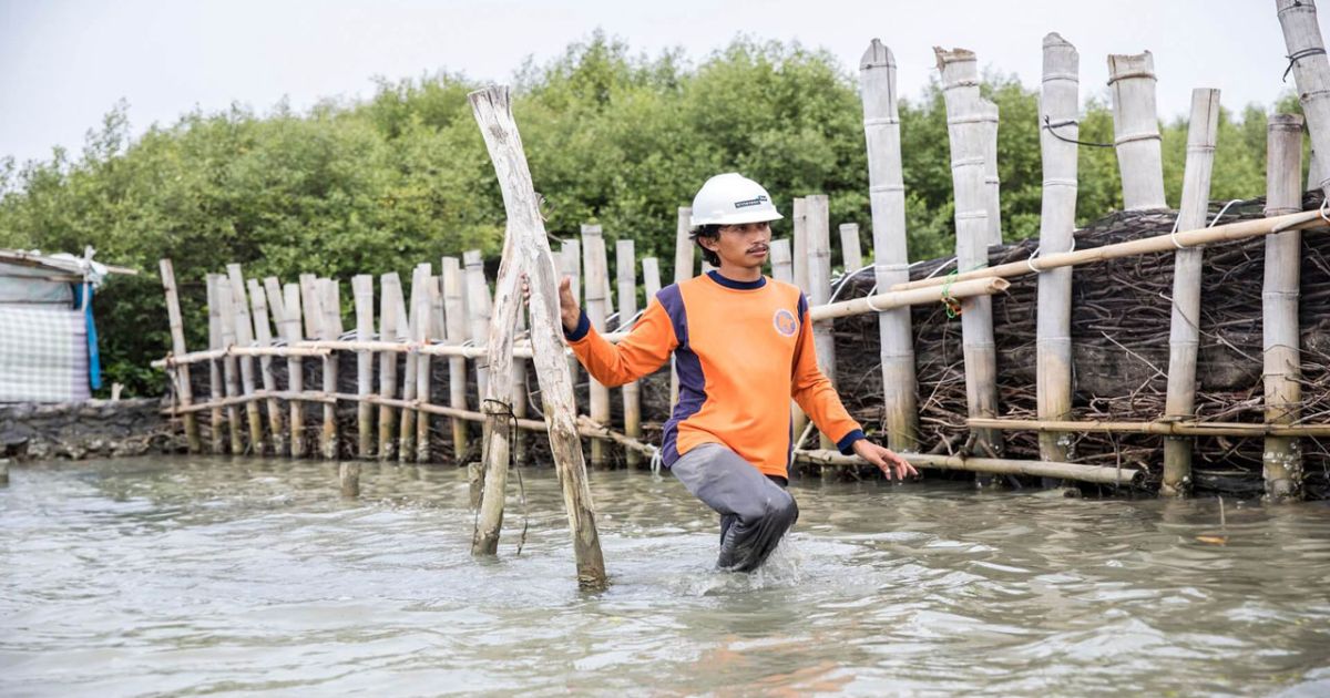 Witteveen+Bos start nieuwe scriptieprijs Duurzame Ontwerpprincipes ...