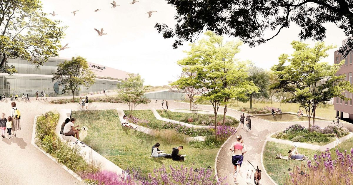 The De Kien showcase | Witteveen+Bos