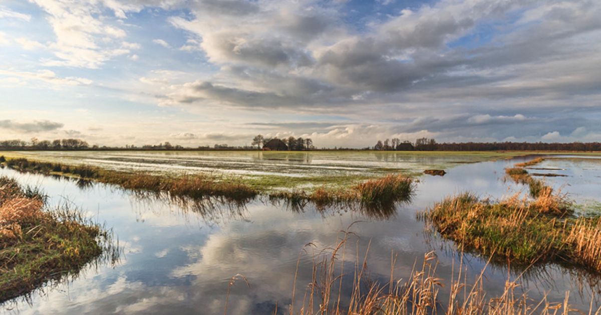 Verkenning Wieringerhoek: veerkrachtig ecosysteem tussen IJsselmeer en ...