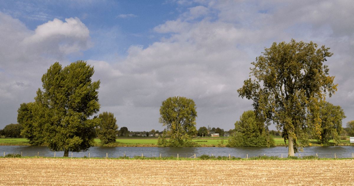 Water quality | Witteveen+Bos