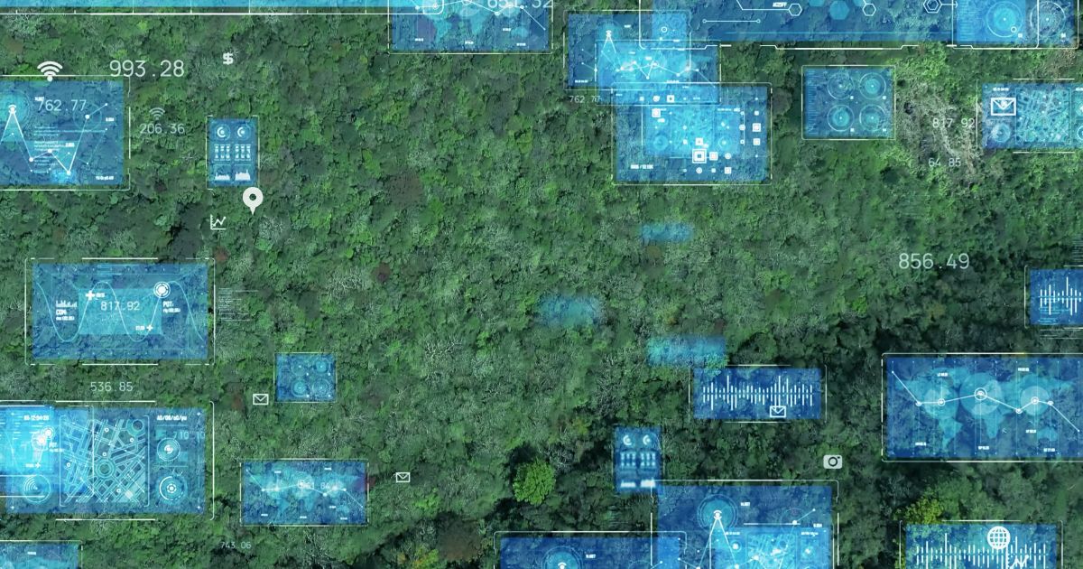 Out-of-the-box Environment and Planning Vision | Witteveen+Bos