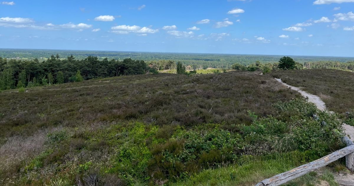 De Eeuwige Bron: concept voor duurzamere waterwinning | Witteveen+Bos