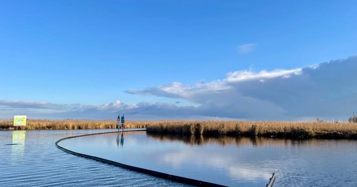 Working on water quality with the Rijnland Water Authority | Witteveen+Bos
