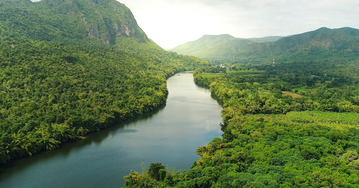 Preserve life on land | Witteveen+Bos